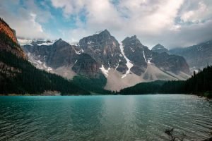 Les massifs les plus impressionnants de France - https://bassinkoi.fr